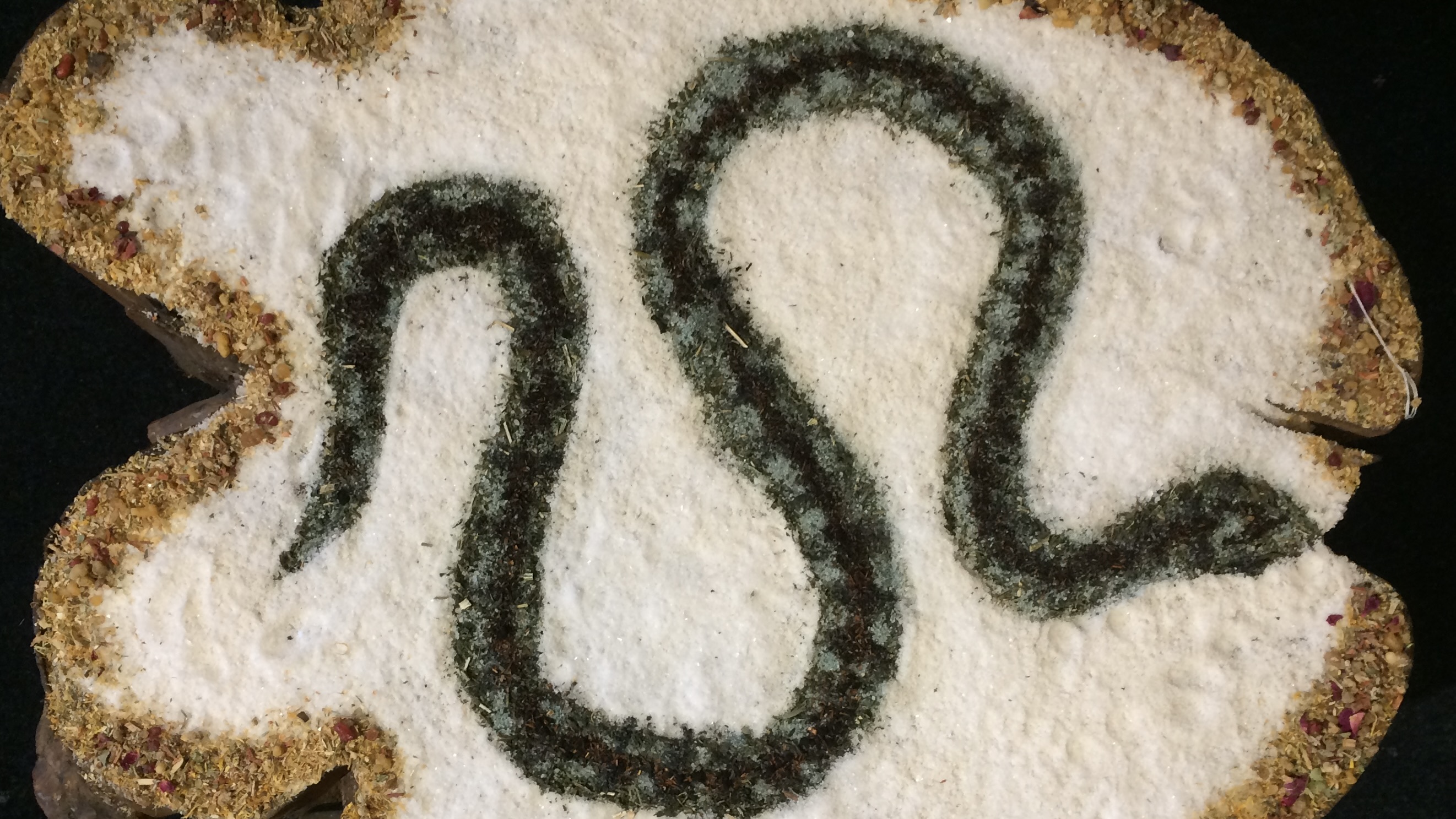 Integrating Snake Medicine